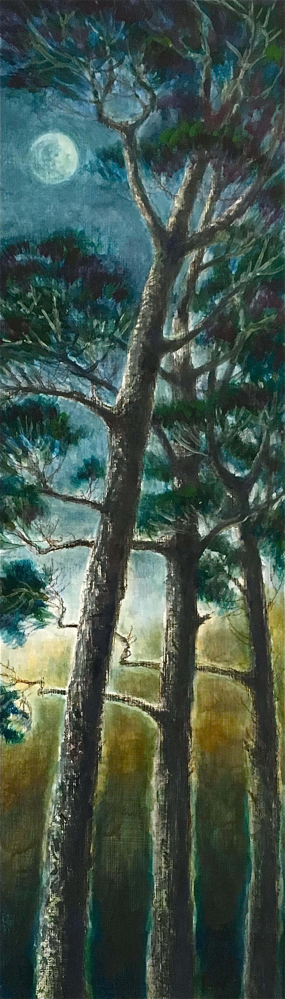 Branching out into new trees | Michael Burge Media