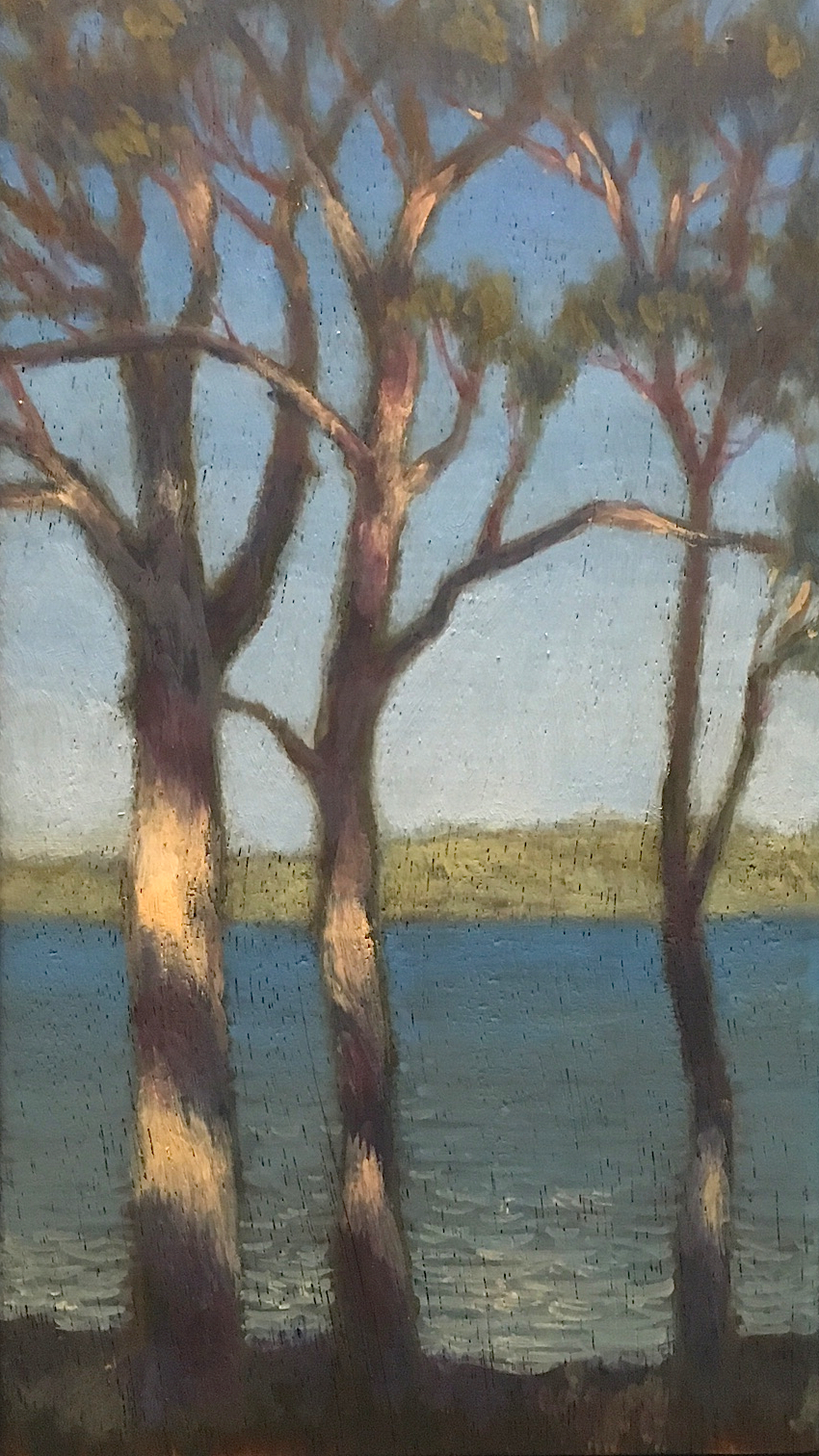 Branching out into new trees | Michael Burge Media