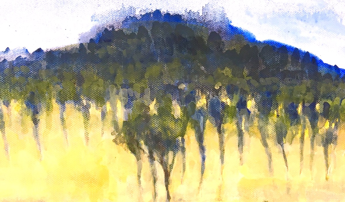 Capturing the colours of Ngarabal country | Michael Burge Media